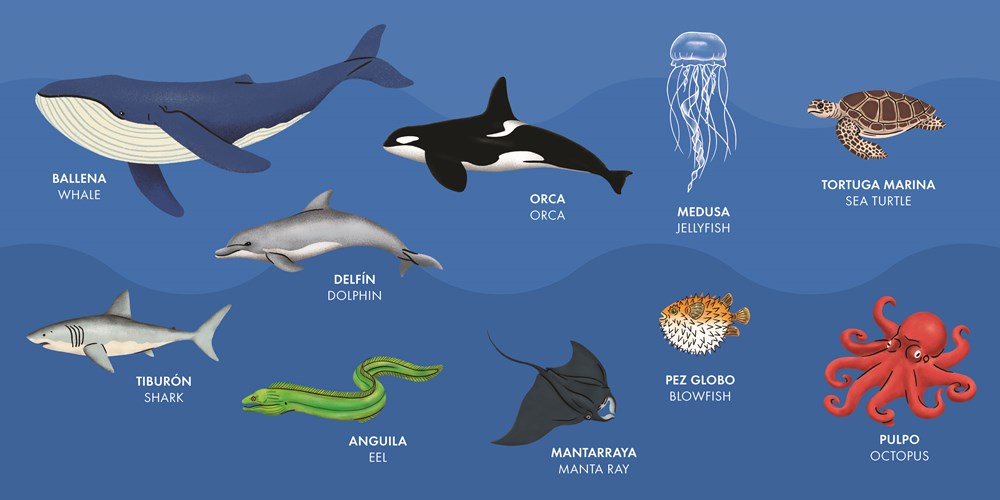 My Big Bilingual Book of First Words – sbnature Store