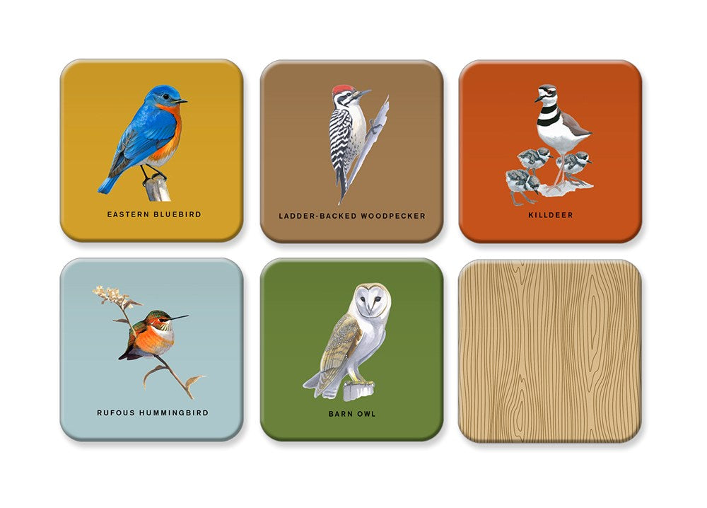 Sibley Backyard Birds Matching Game – sbnature Store