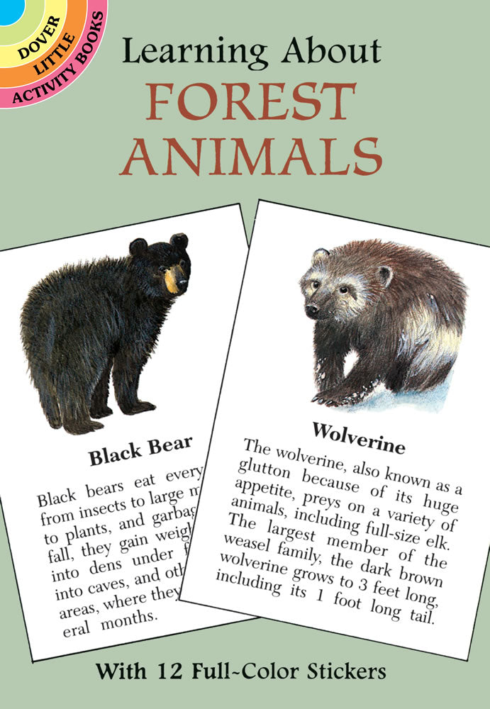 Learning About Forest Animals – sbnature Store