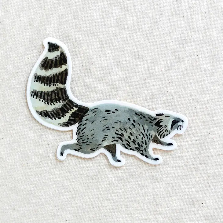 Raccoon Vinyl Sticker – sbnature Store