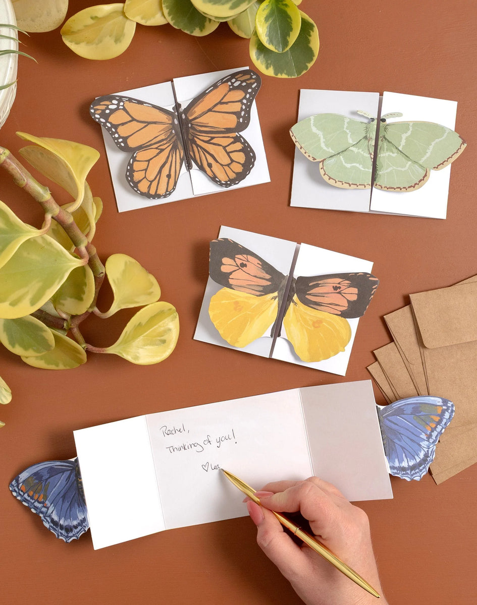 Flutter Friends Accordion Greeting Card Set – sbnature Store