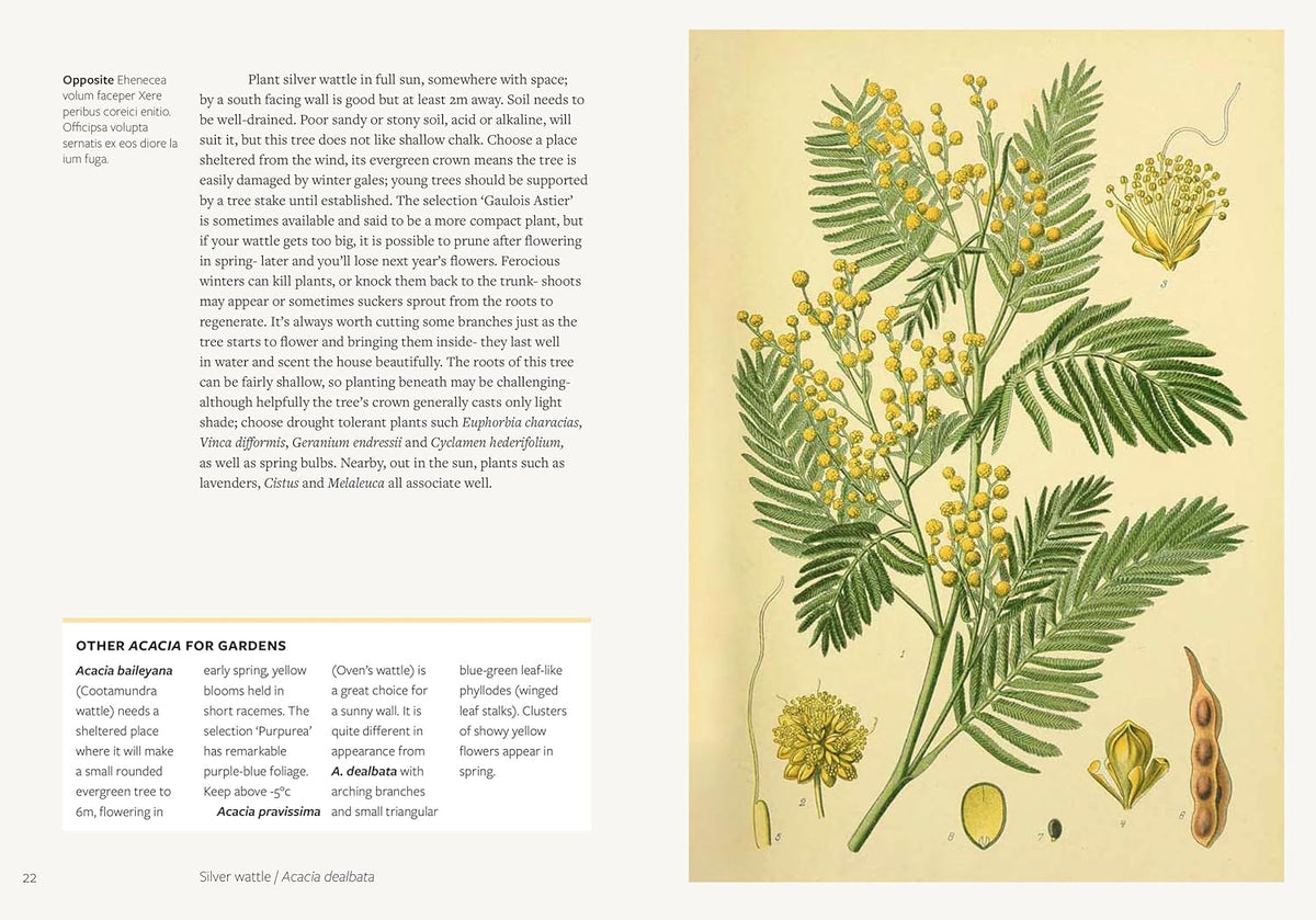 Parched: 50 Plants that Survive and Thrive in a Dry Garden – sbnature Store