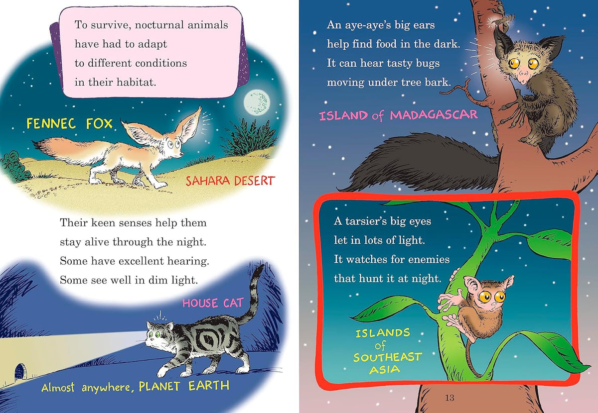 Out of Sight Till Tonight! : All About Nocturnal Animals – sbnature Store