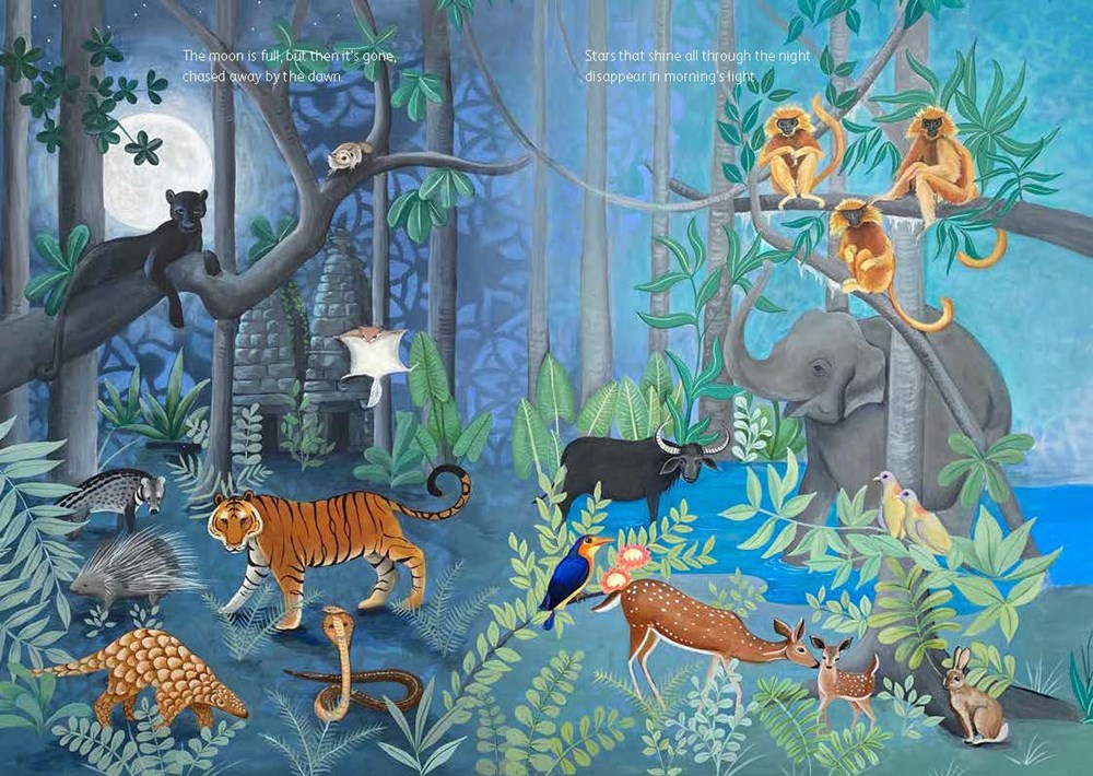 Everything Changes – sbnature Store