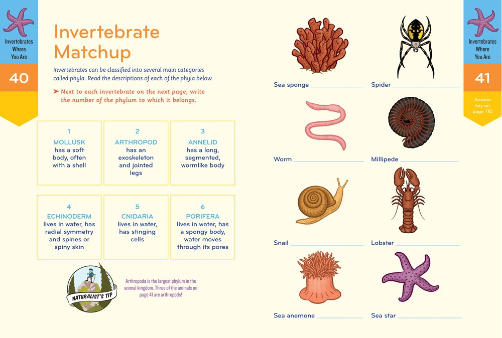 Nature Smarts Workbook 10-12 – sbnature Store