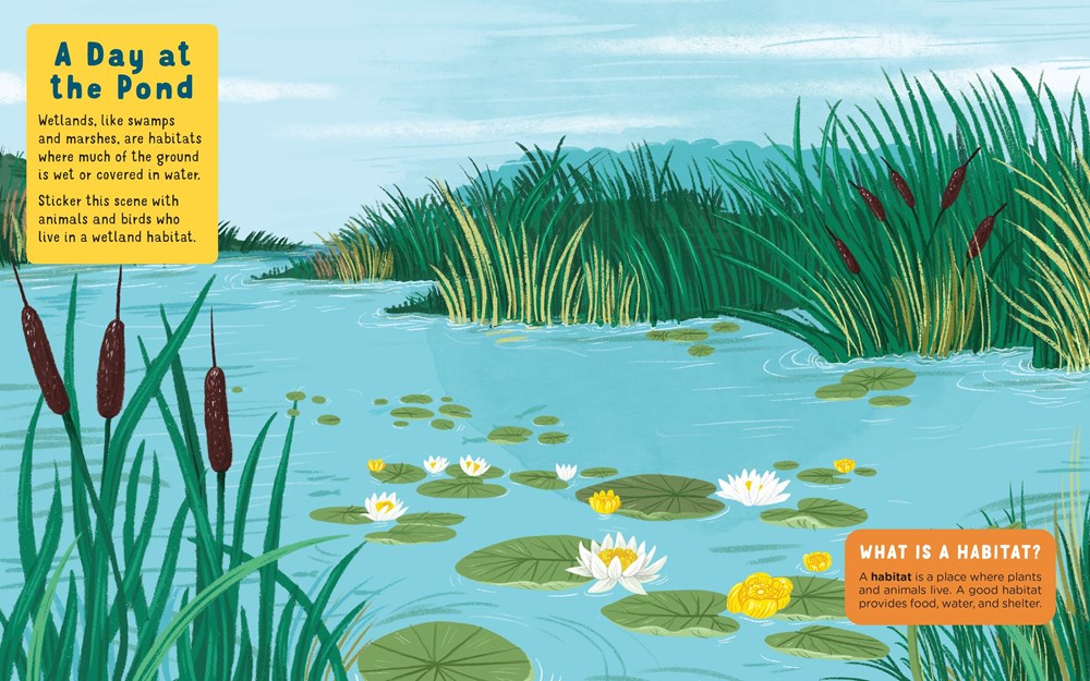 Backpack Explorers: Nature Adventure – sbnature Store