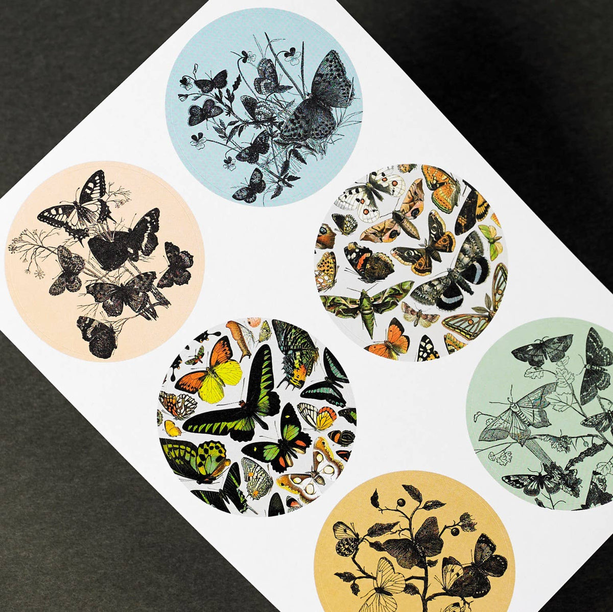 Natural History Label Sticker & Tape Book – sbnature Store