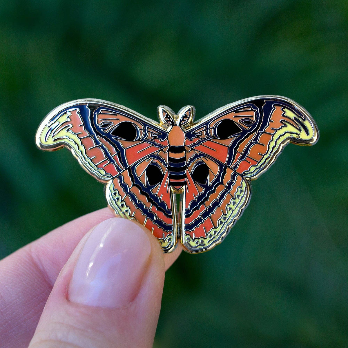 Atlas Moth Enamel Pin – sbnature Store