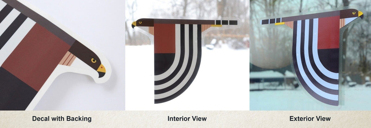 Hawk Anti-Bird-Strike Window Decal – sbnature Store