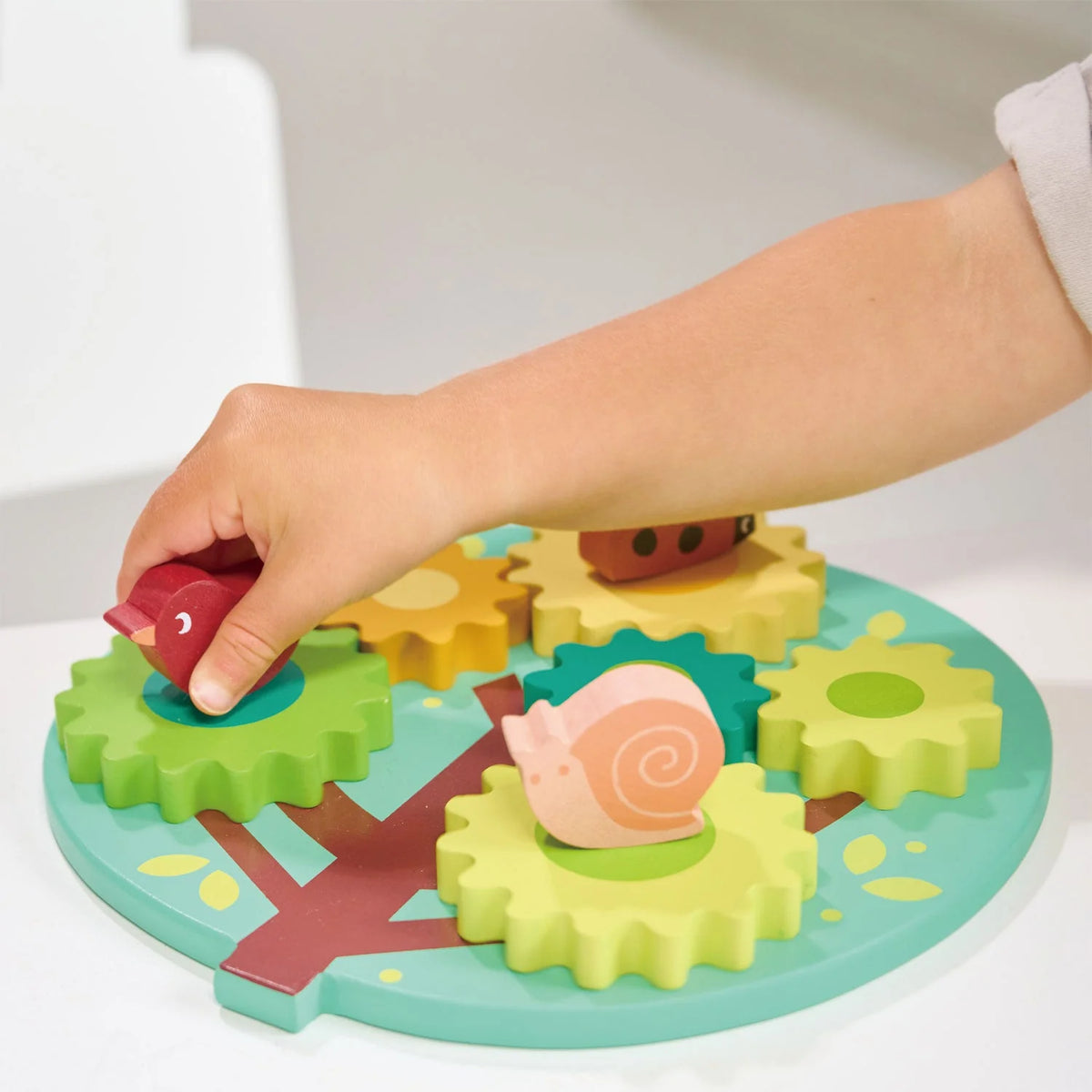 Tree Gears and Cogs – sbnature Store