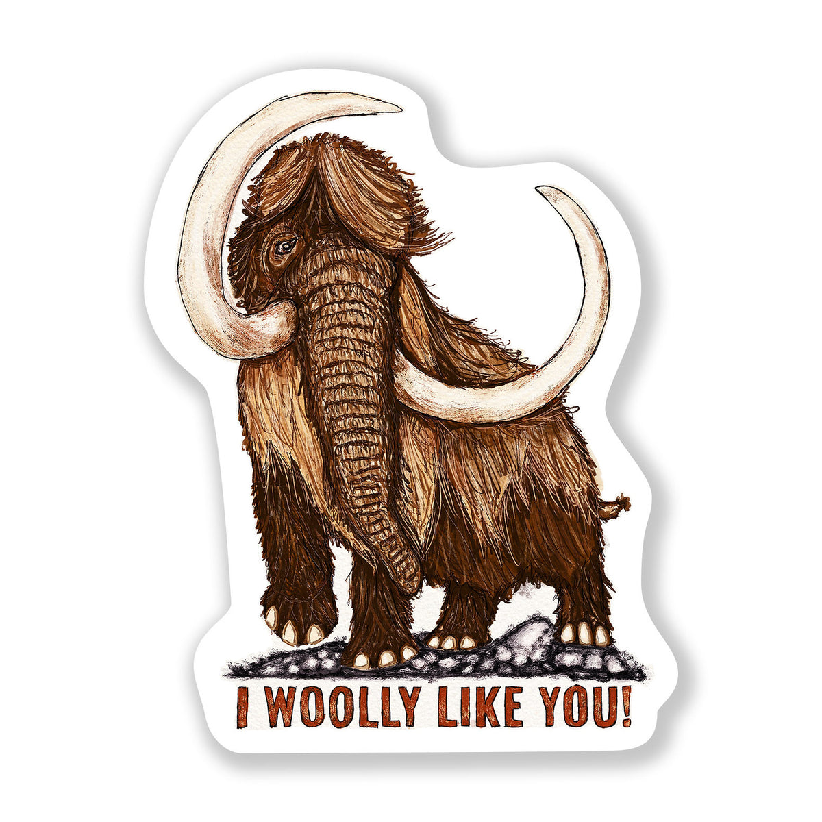 Wooly Like You Sticker – sbnature Store